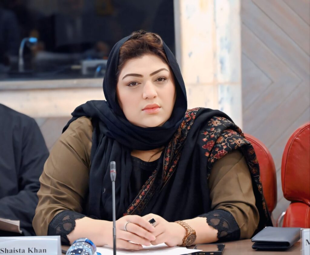 Maryam Nawaz’s courageous leadership, Historic steps against ...